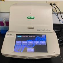 Bio-Rad CFX qPCR | Center for Biotechnology and Interdisciplinary Studies